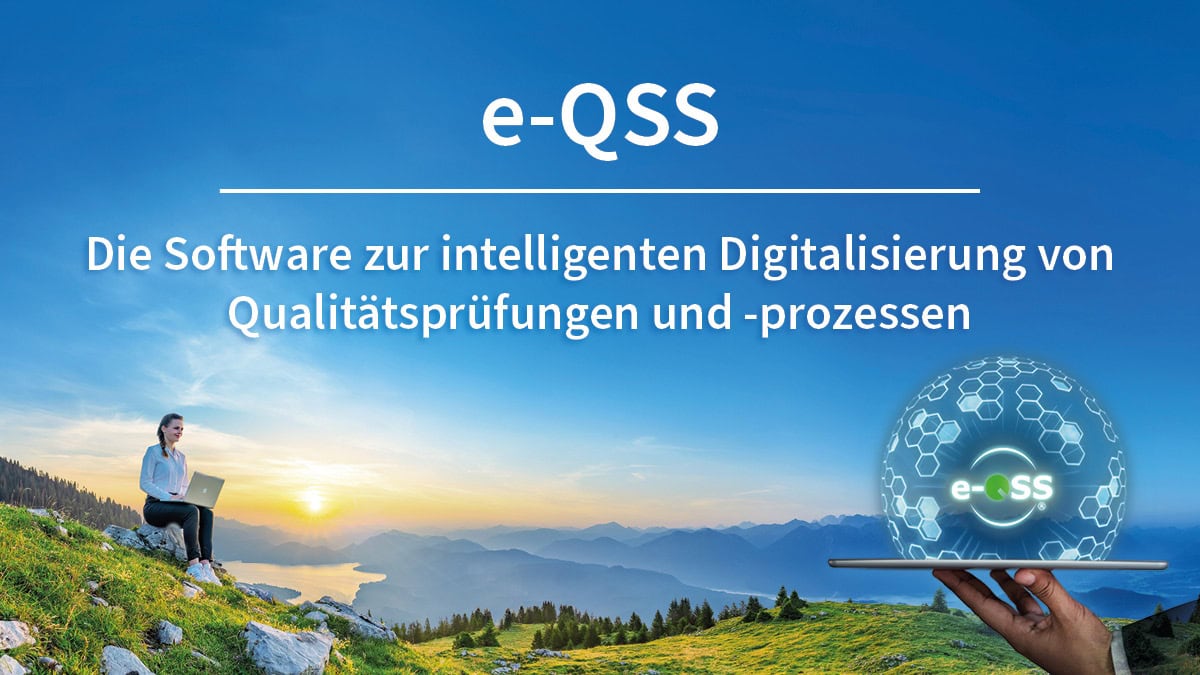 e-QSS – Features 2024