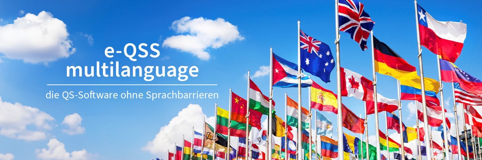 e-QSS multilanguage